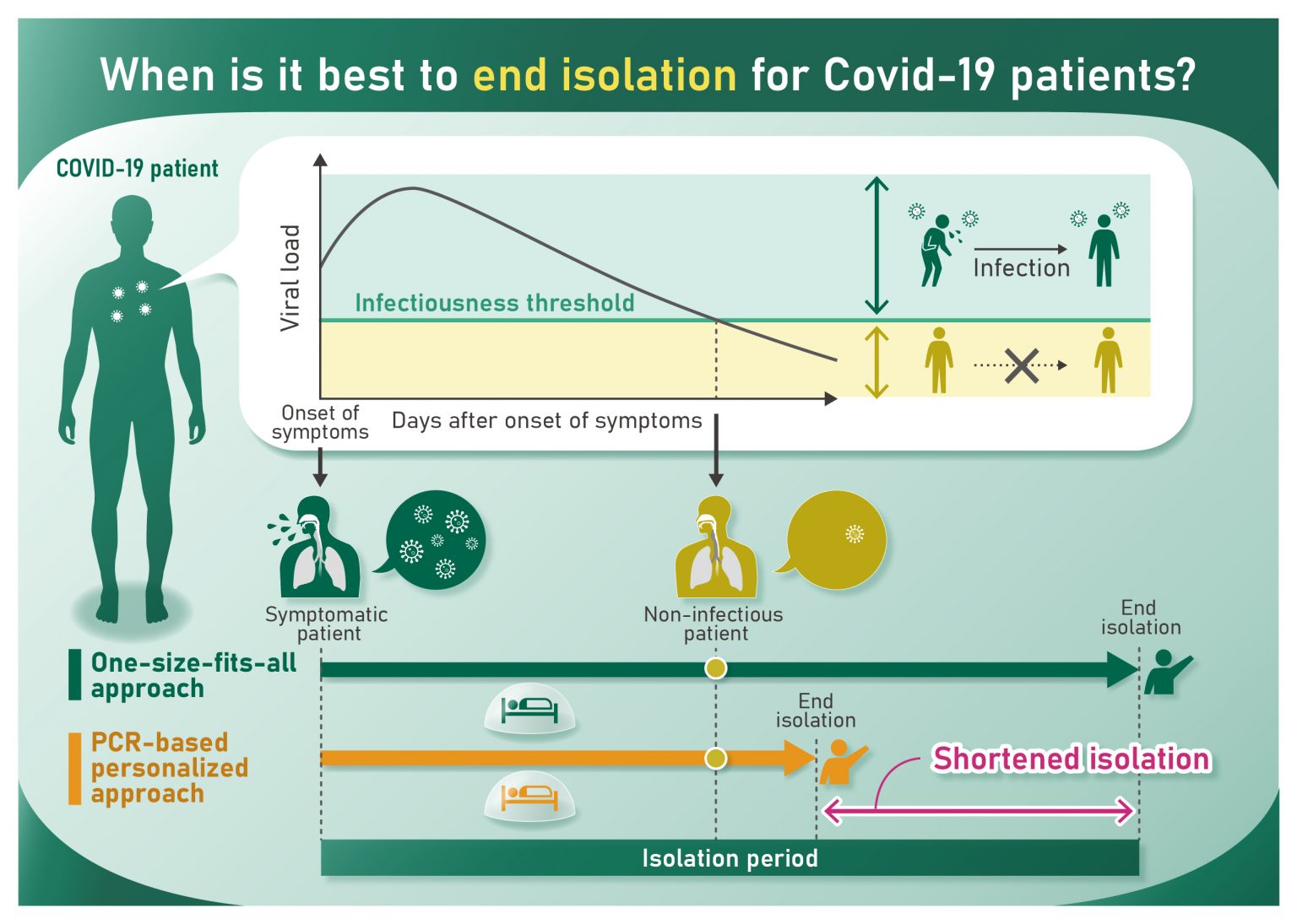 Reducing COVID-19 isolation times | News & Events | Nagoya University
