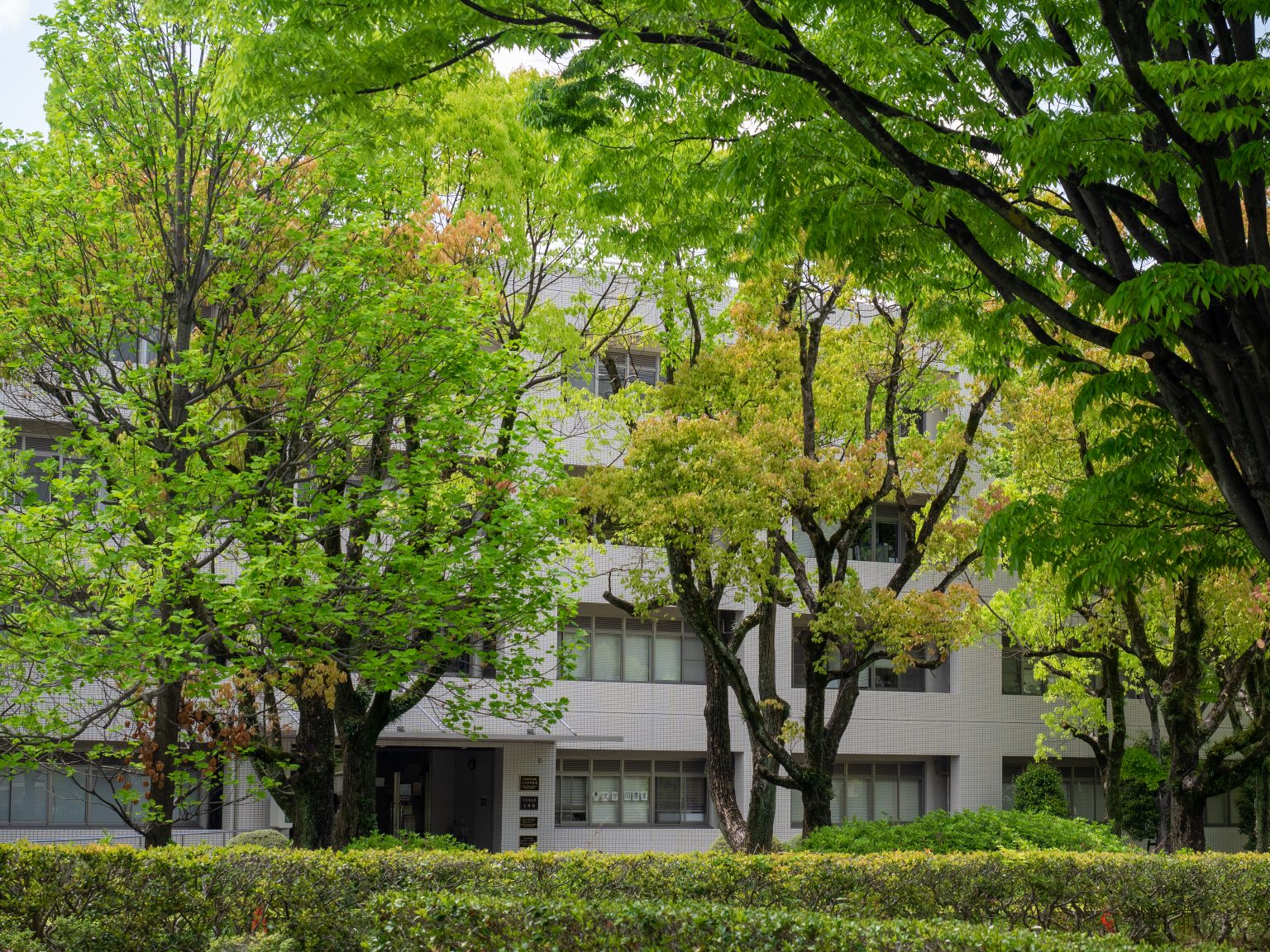 School of Humanities | Academics | Nagoya University